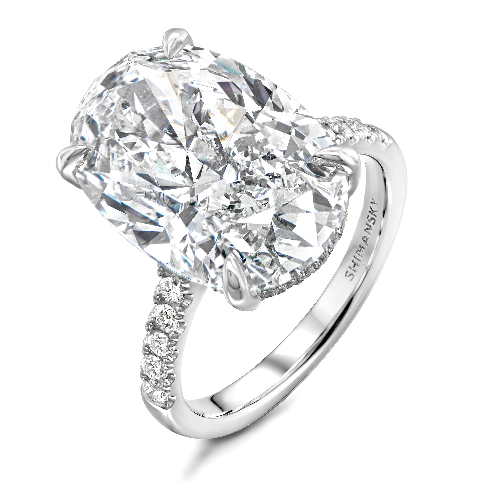 Oval Diamond Hidden Halo Engagement Ring
