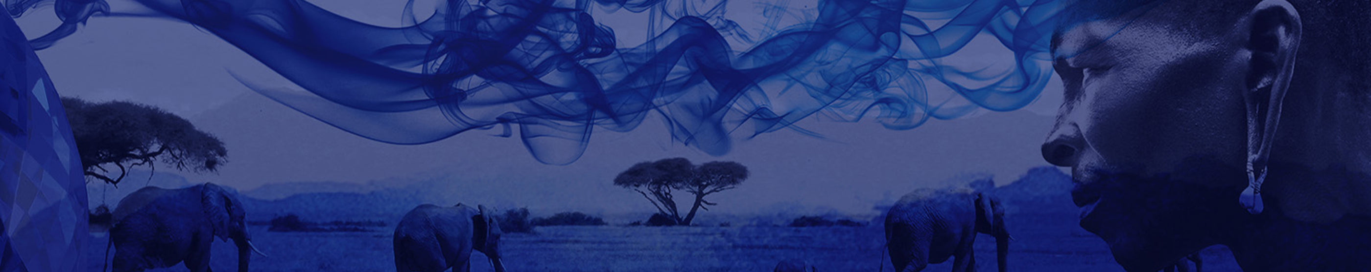 DISCOVER TANZANITE